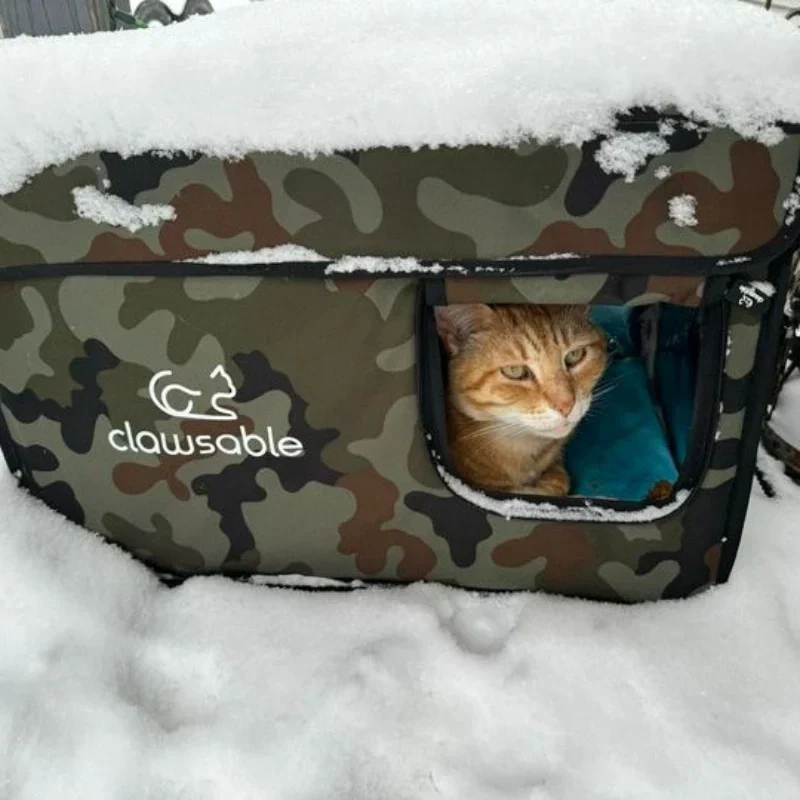 How to correctly and scientifically deal with stray cats? – Clawsable