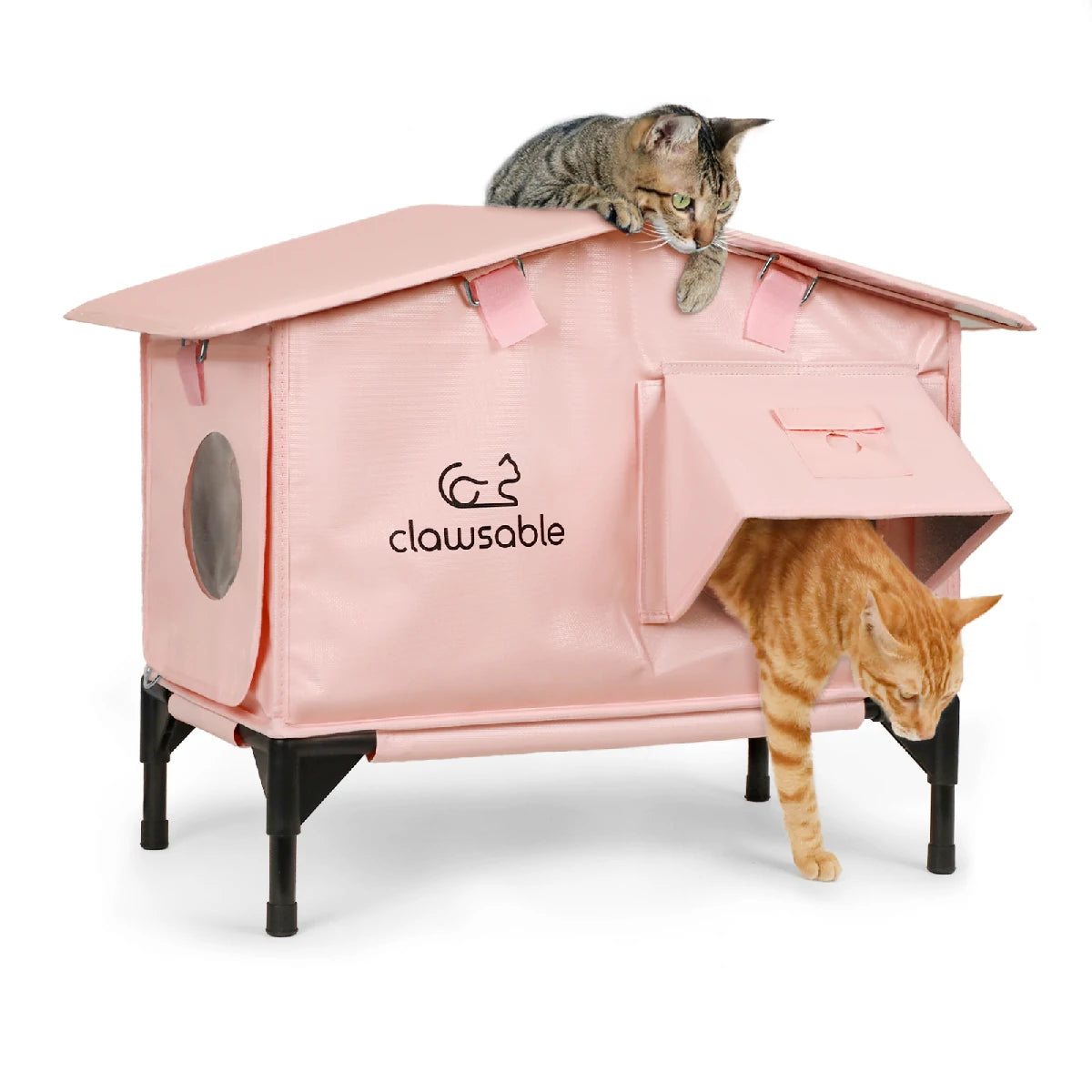 Flagship Roof Insulated Cat House – Weatherproof Double Shelter – Clawsable